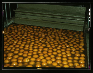 Jams & Jellies – Visual Encyclopedia of Chemical Engineering Equipment