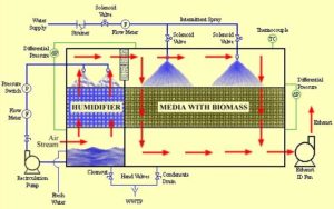 Biofilters – Visual Encyclopedia of Chemical Engineering Equipment
